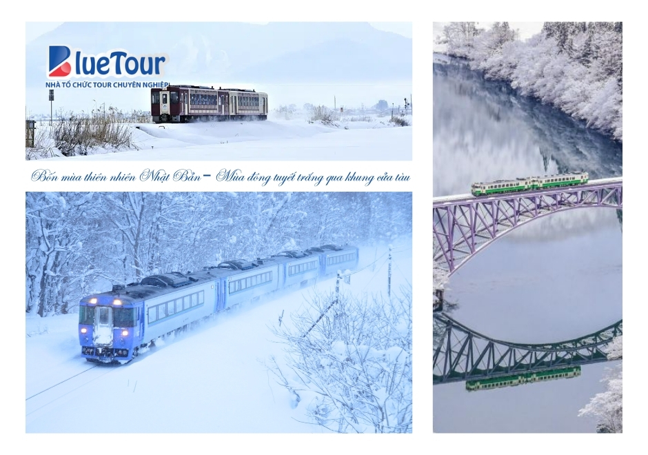 Chuyến Tàu Mơ Mộng Qua Bốn Mùa Thiên Nhiên Nhật Bản