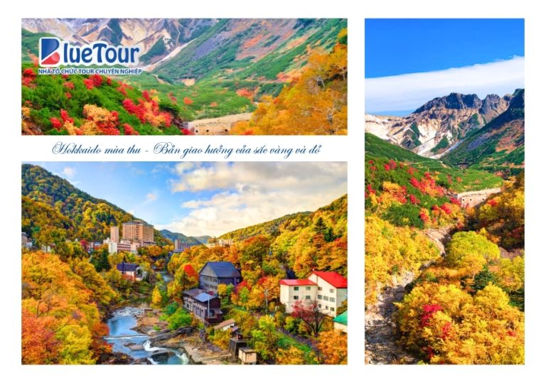Theo Dấu Mùa Lá Đỏ, Lạc Bước Giữa Hokkaido Mùa Thu