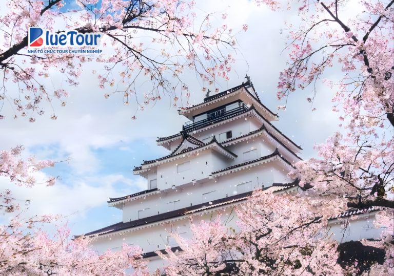 Lễ Hội Hoa Anh Đào Hanami Dưới Góc Nhìn Du Lịch